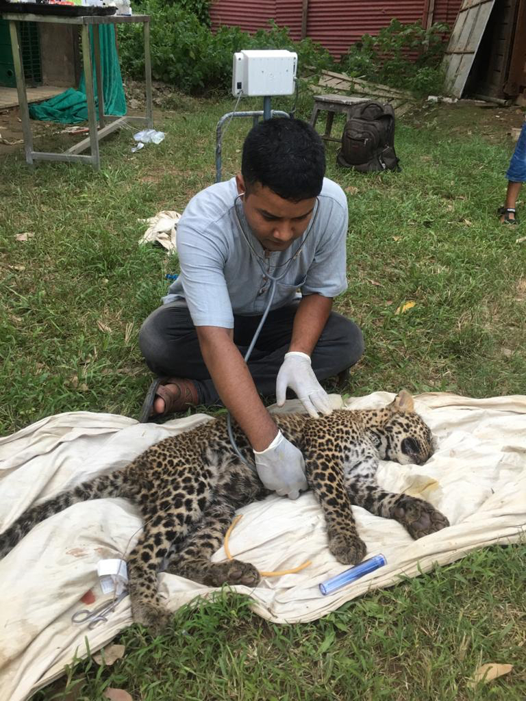 Interview with Amir Sadaula - News - Wild Life Vets International